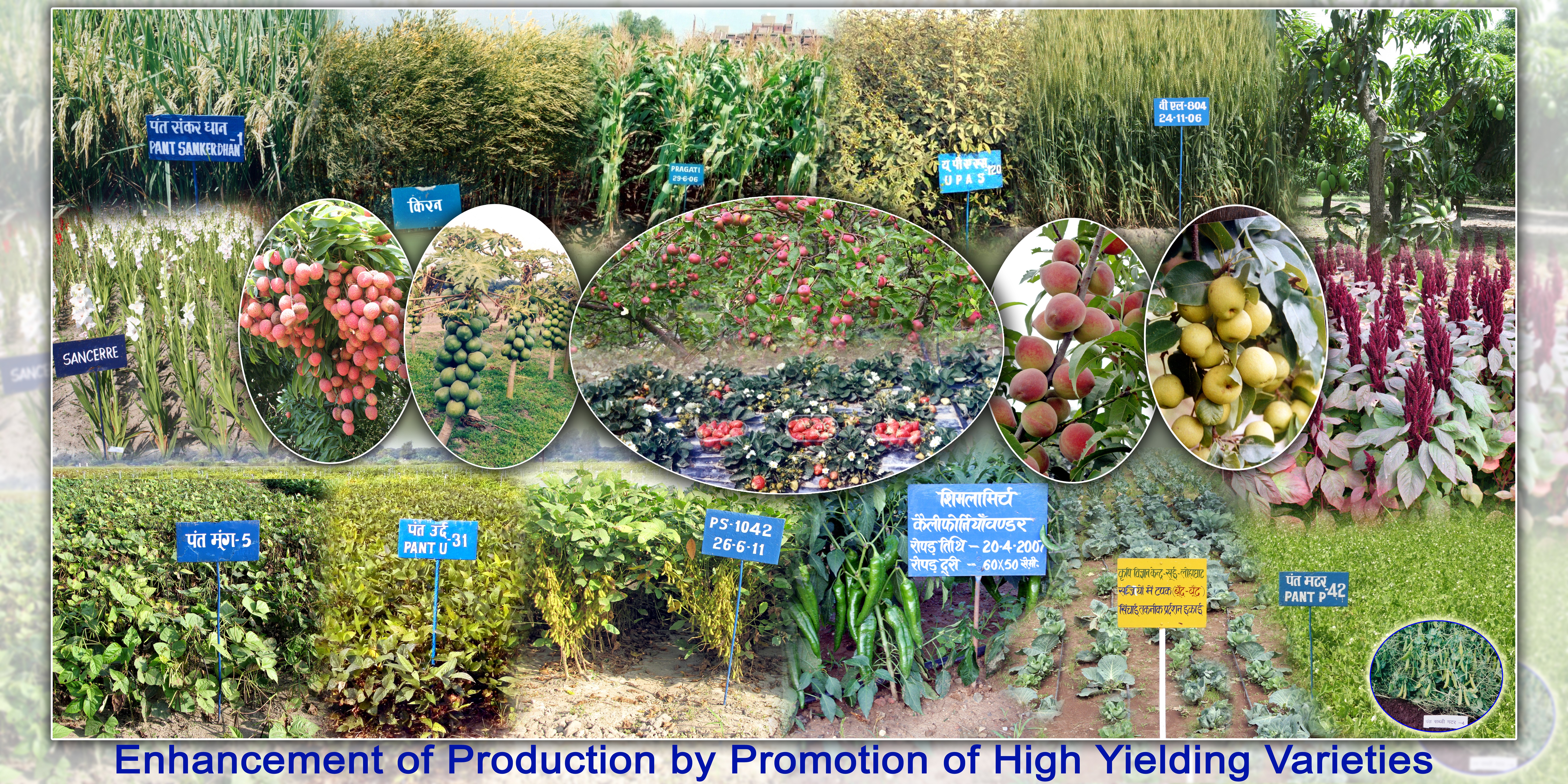 DES - Directorate of Research