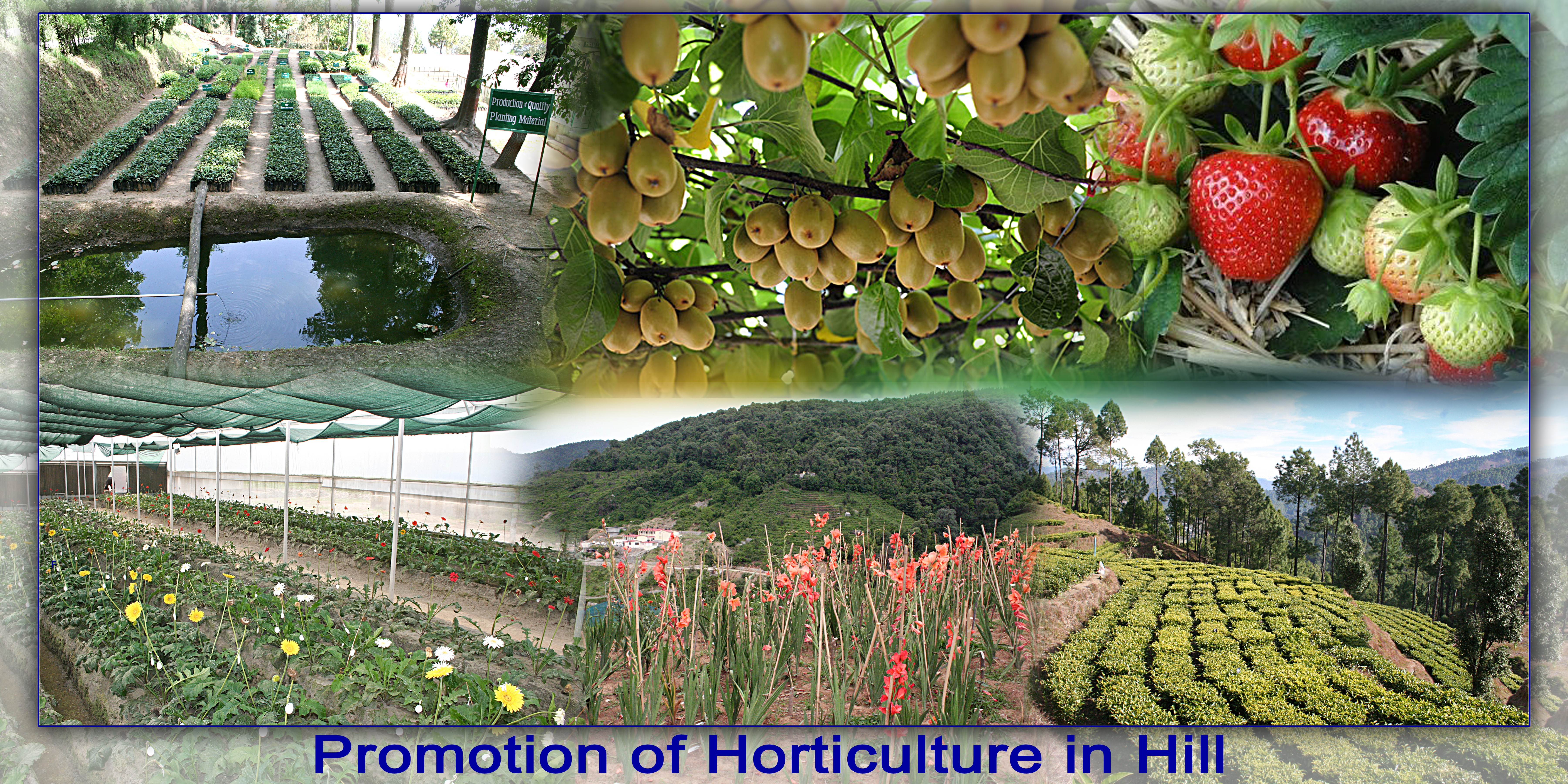 DES - Directorate of Research